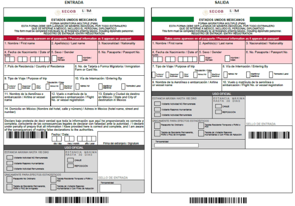 El Aeropuerto Internacional De Puerto Vallarta Agiliza Trámite ...