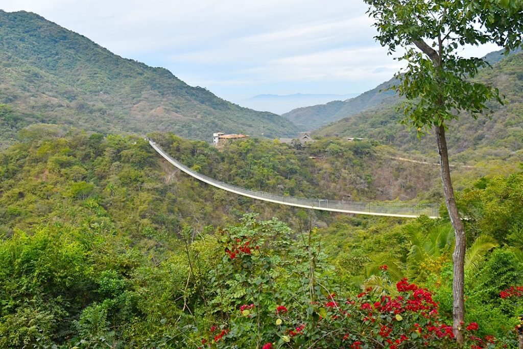 Parque Ecoturístico Canopy River El Jorullo recibe el Premio ...