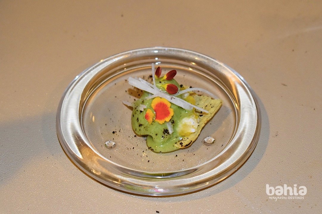 Cena Sustentable En Gaviotas Del Sheraton Buganvilias